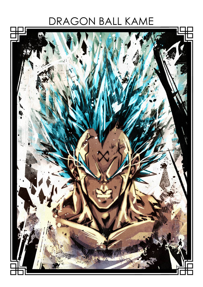 art1 – DRAGON BALL KAME